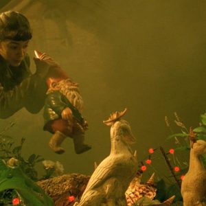 Amelia - Animus Film