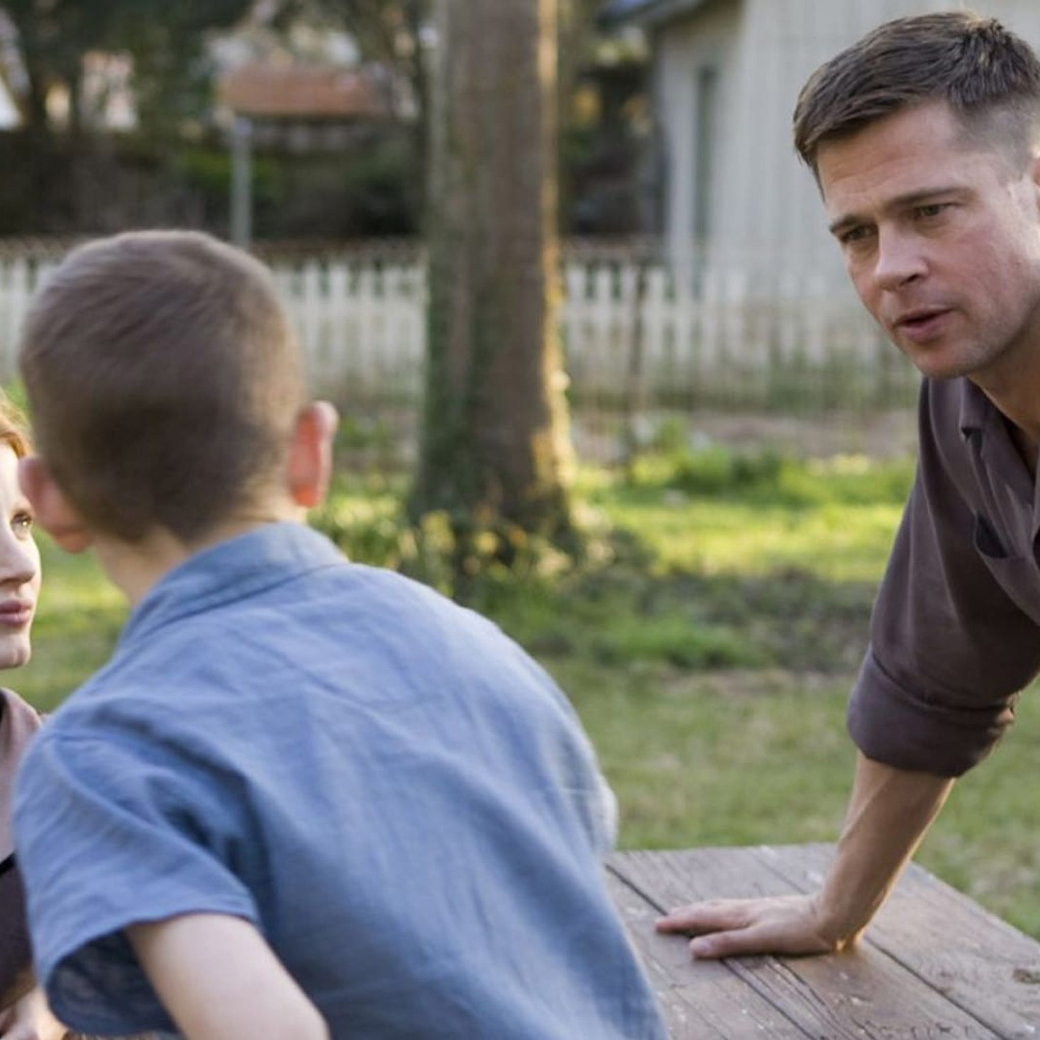 Drzewo życia - Animus Film